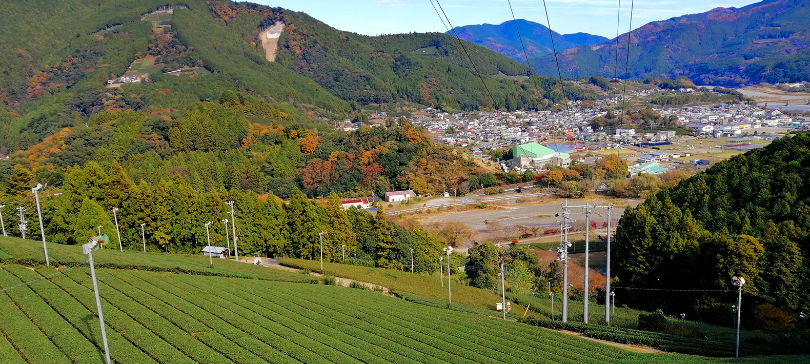 Suruga, région du thé - Japon Authentique | Destination Japon